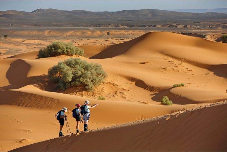 Rose Trip Maroc | Trek d'orientation 100% féminin et solidaire au Maroc